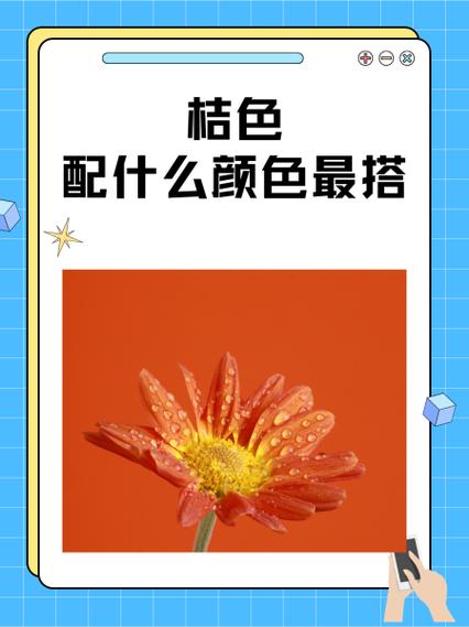 桔色apK图标