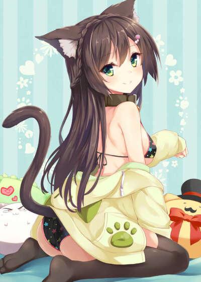 次元猫免费下载截图