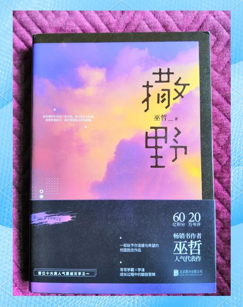 撒野256中文书库图标