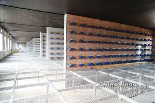 全国信鸽各地公棚图标