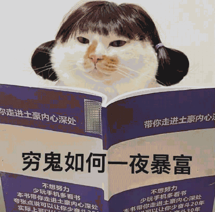 如何一夜暴富其实很简单图标