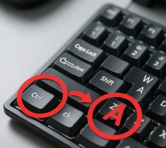 电脑ctrl加A无法全选截图