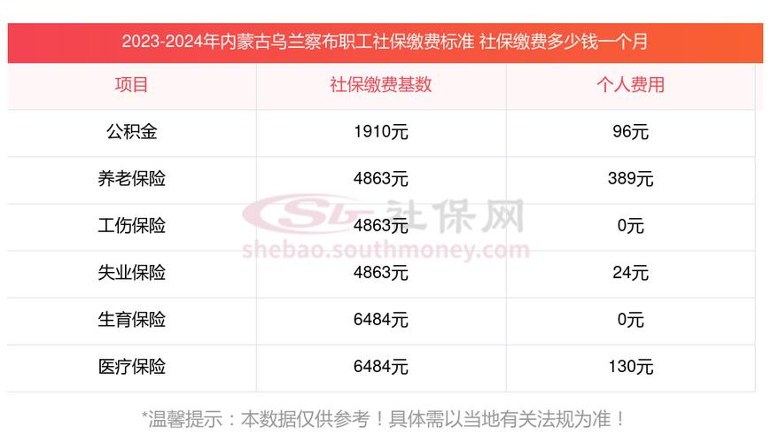 内蒙古税务社保缴费下载图标