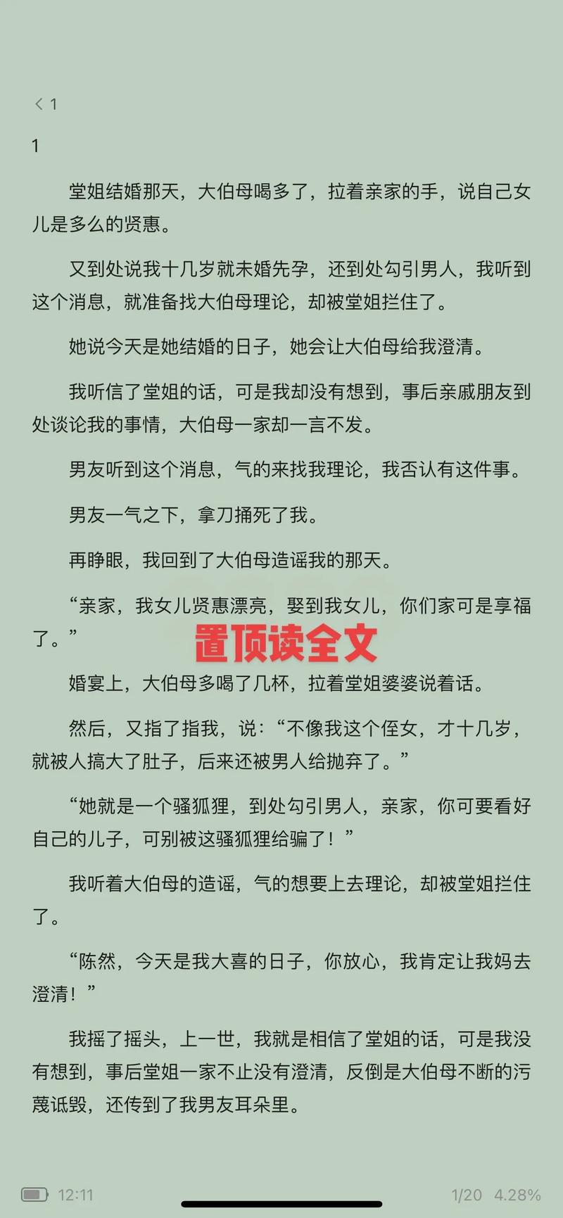 刘静和女婿将错就错小说图标