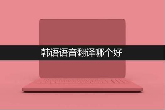 韩文翻译器语音图标