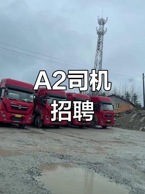 牛小二招聘a2司机图标