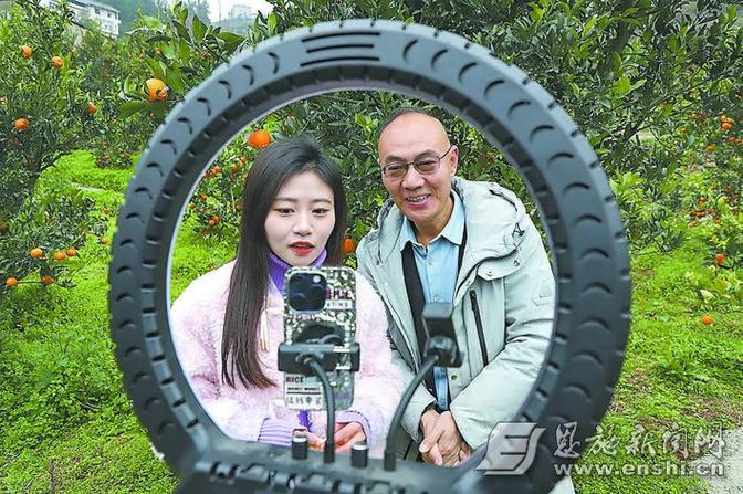 如何推广自家柑橘图标