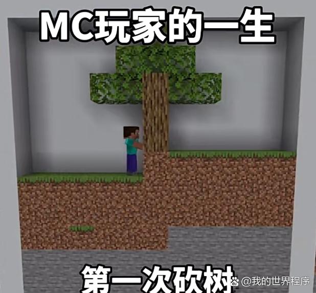 我的世界mc玩家的一生缩略图
