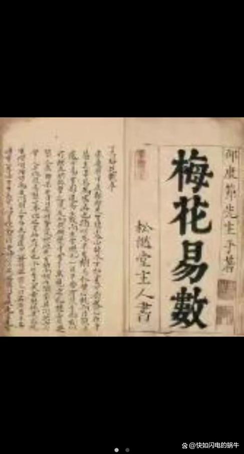 梅花易数免费算命网图标