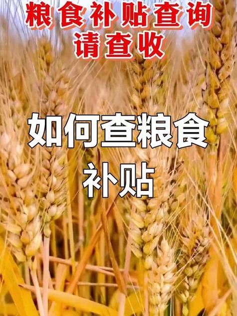 土地确权查询app图标