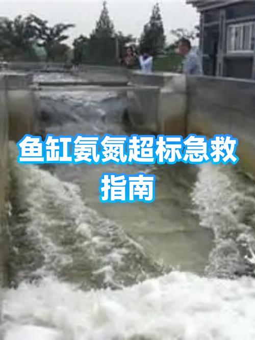 氨氮超标的处理方法快速去除氨氮图标