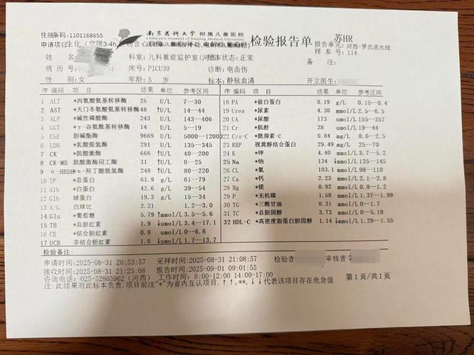 帮看检验报告单图标