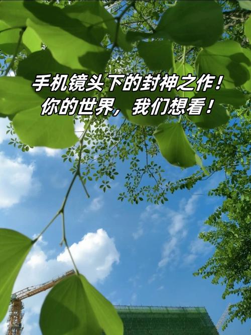 闪传的照片怎么保存到相册图标