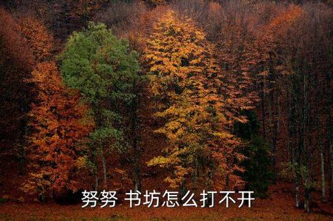 努努书坊 - 小说在线阅读图标