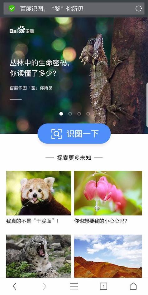 百度识图识别图标