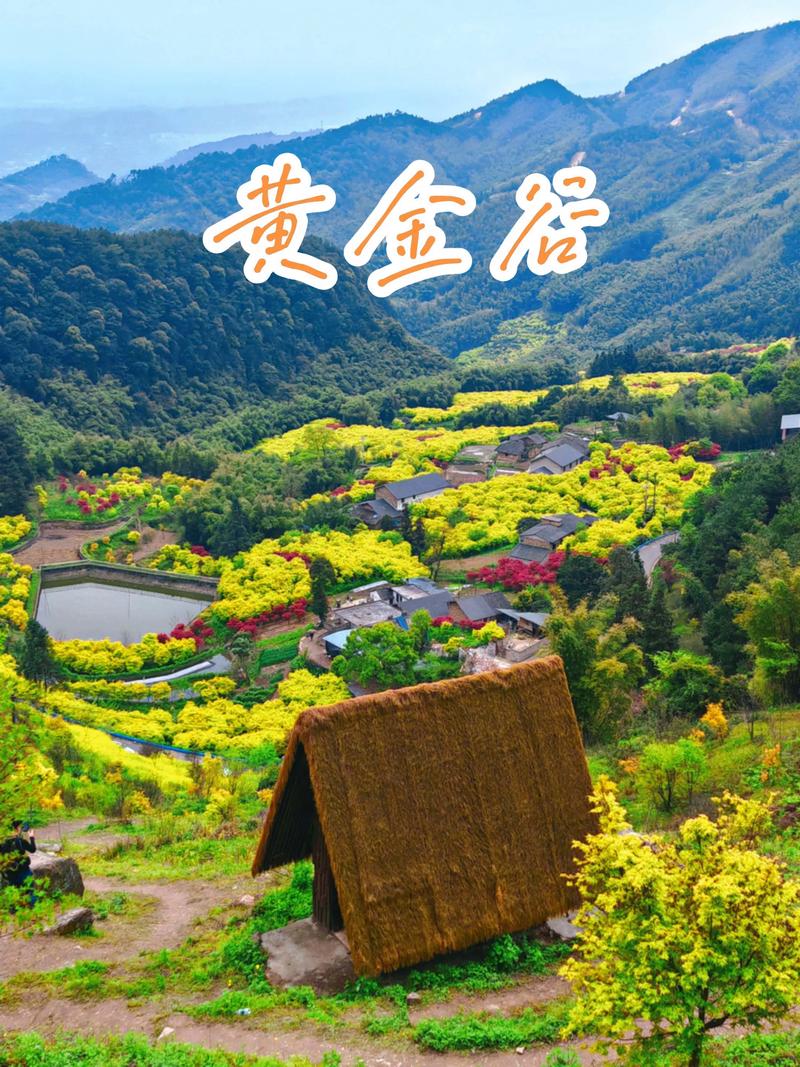 黄金谷免费观看图标