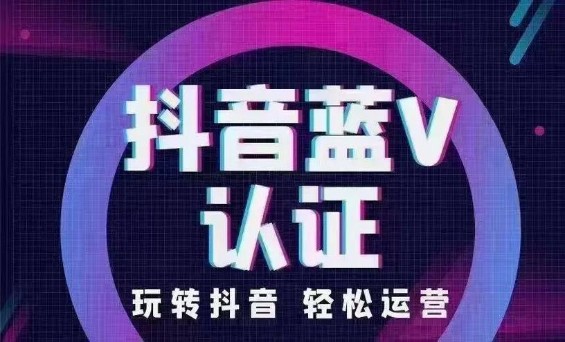 抖音蓝v赚钱截图