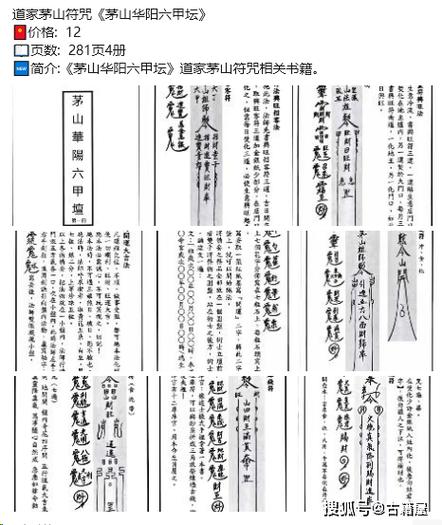 龙虎山符咒书籍大公开图标