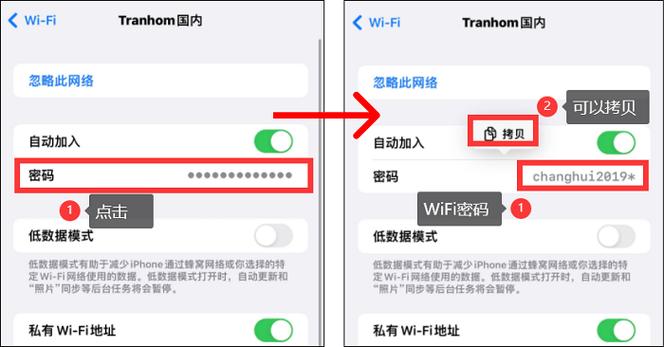 苹果手机查看无线网密码怎么查图标