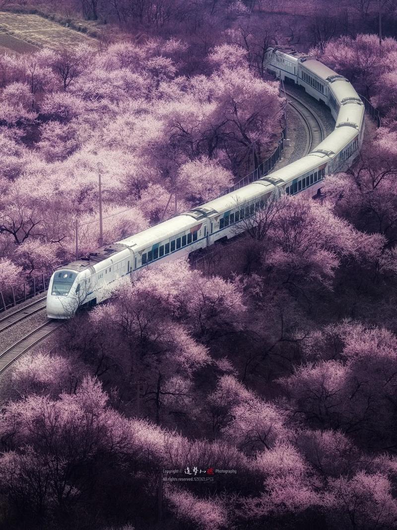 无限列车美剧截图
