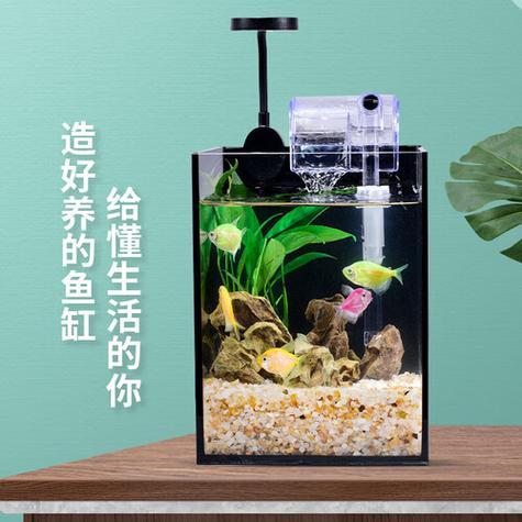 小型鱼缸价格及图片图标