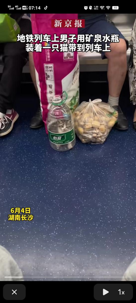 地铁可以带猫嘛截图