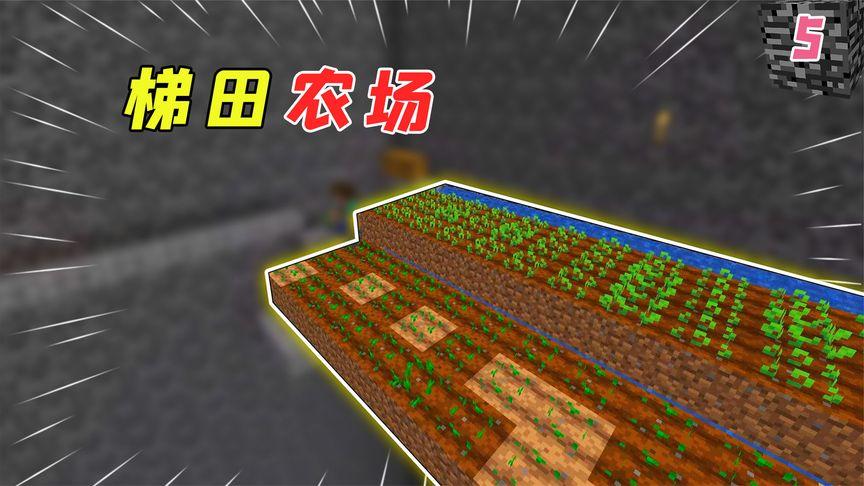 我的世界梯田农场截图
