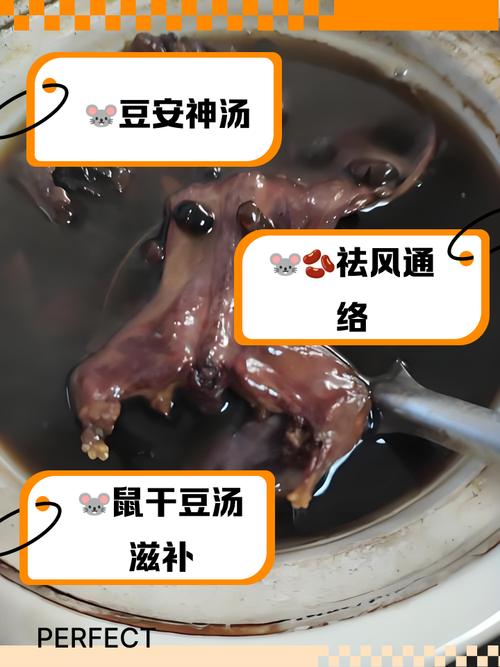 飞鼠煲汤的功效图标