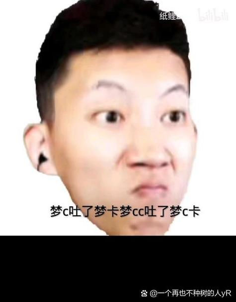 鲤鱼ace今年几岁了截图