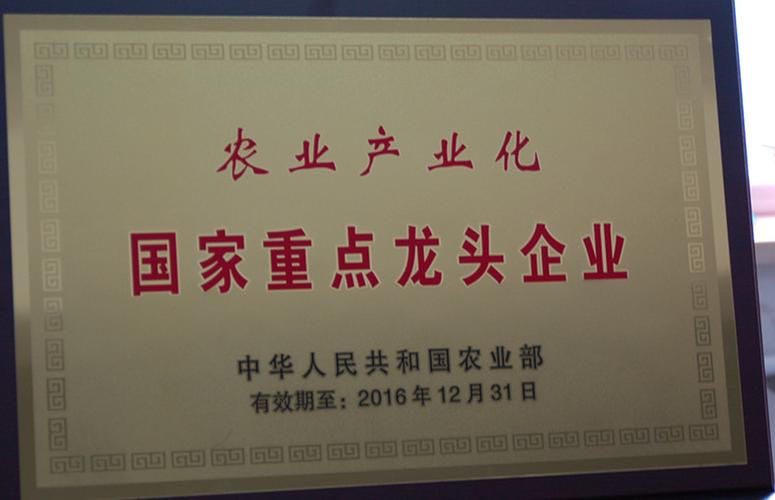 农业最厉害三个龙头截图