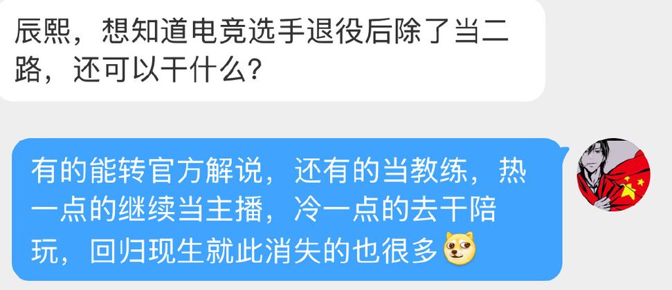 电竞选手退役后干什么
