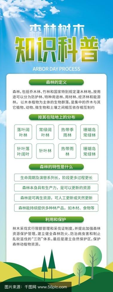 关于树的小知识图标
