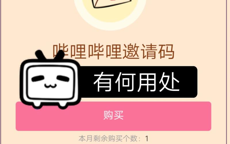 哔哩哔哩会员邀请码图标