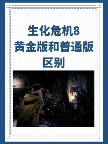 生化危机8闪退之前还好好的截图