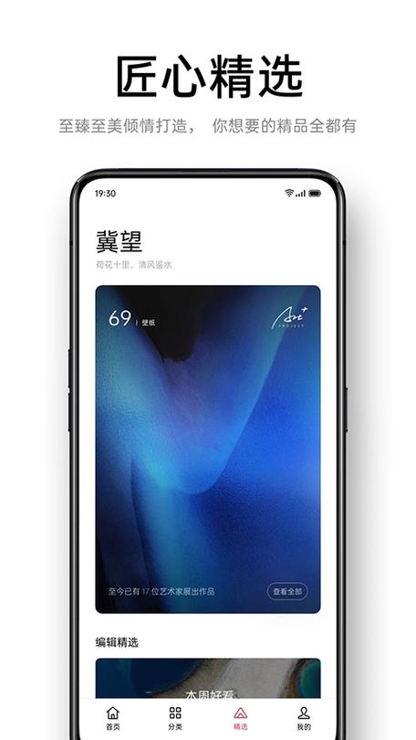 oppo主题10.11.0版本下载图标