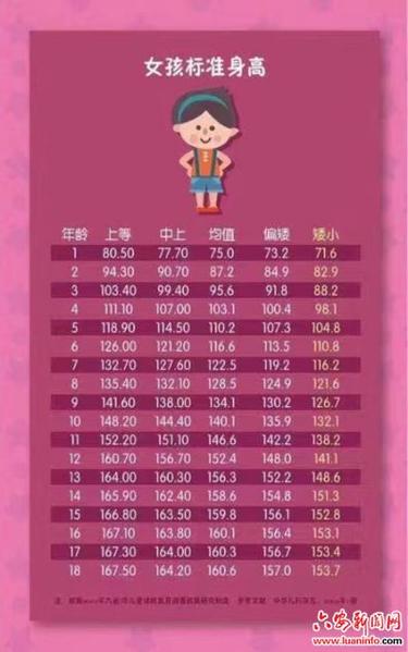 身高图标