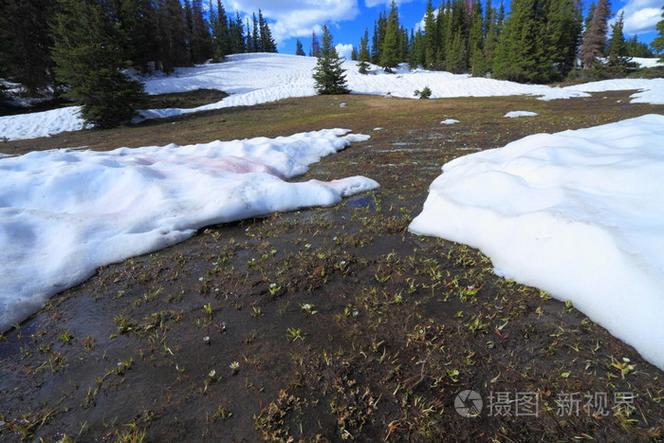 北半球山坡上积雪融化的快的一侧是图标