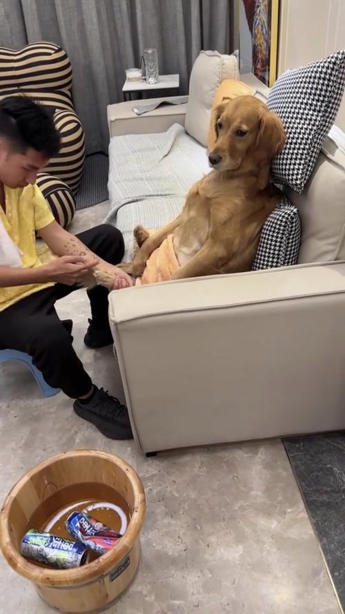 动物按摩店图标