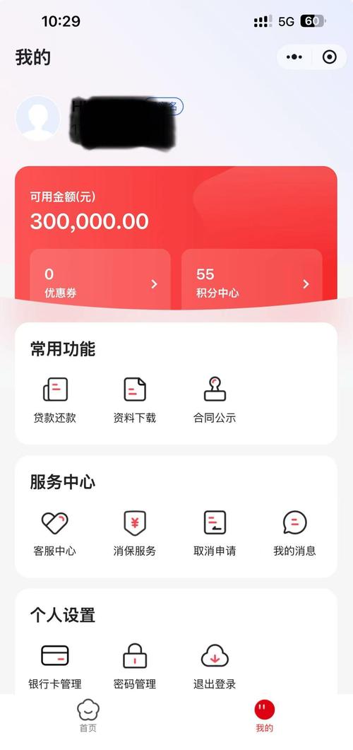 贷款会员制的能下款吗图标