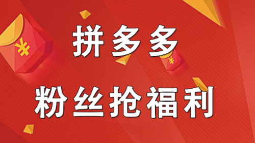 拼多多10元无门槛券什么意思图标