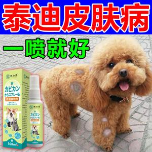 泰迪肚子上长了红包用什么药