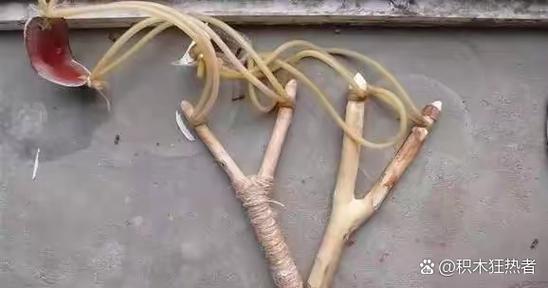 一根皮筋的弹弓图标