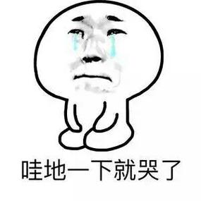 跪着哭的表情包图标