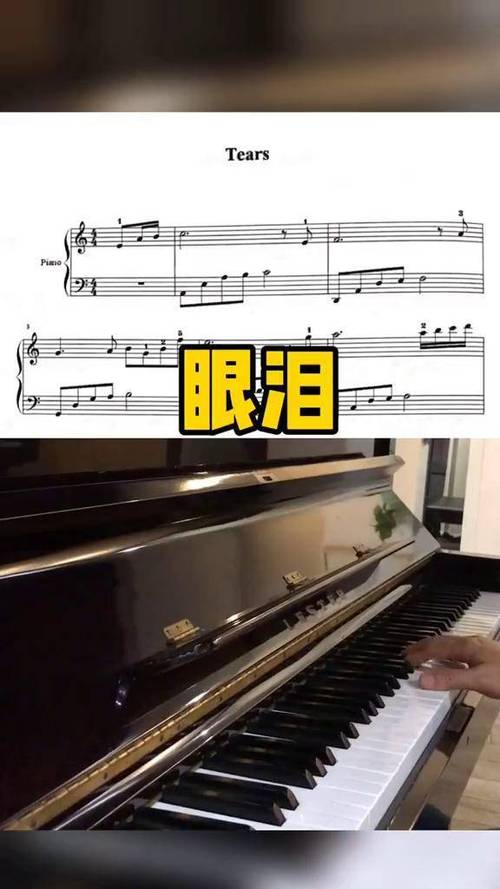 田震唱哭了全场图标