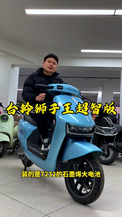 台铃狮子配置图标