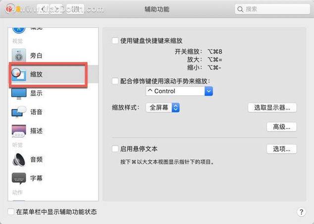 如何将电脑屏幕放大缩小图标