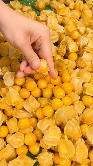 小金豆子截图
