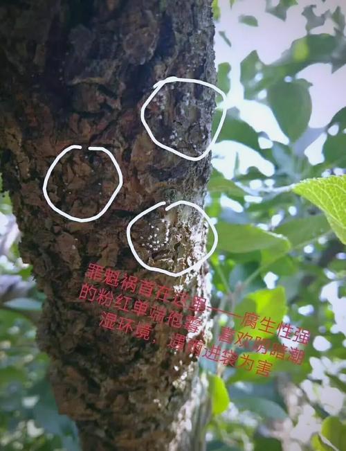 打印机打印出来有黑点图标