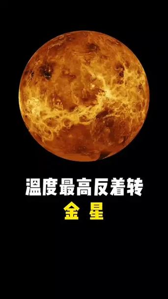 为什么金星是反着转的