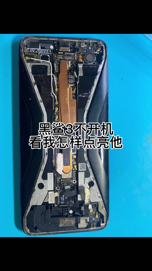 黑鲨阁APP图标